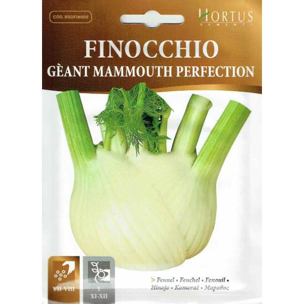 フェンネル・マンモス（Mammouth）はヨーロッパで古くから栽培されているフローレンスフェンネルです。寒さに強く、病害虫に強く、収穫量の多い、株元肥大のタイプです。当社取り扱い４フェンネルの中では最も晩生種の品種です。