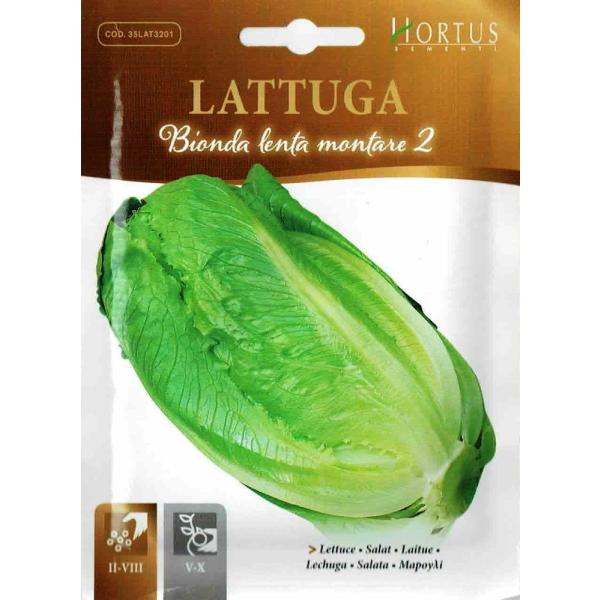ローメインレタス（コスレタス）（Bionda lenta montare 2）は昔から栽培されている典型的なローメインレタスです。歯ごたえのシャキシャキ感がなんとも言えず、シーザーサラダに最高のレタスです。比較的暑さにも強いタイプです。