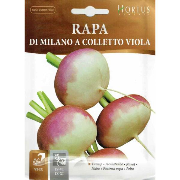 ターニップ・ミラノ（Di Milano a colletto viola）はイタリアで最も人気のあるカブと言われています。フラットシェイプで土に付いている部分は白く、土から出ている部分は赤紫の美しい、日本では見かけない品種です。甘く、やわら...