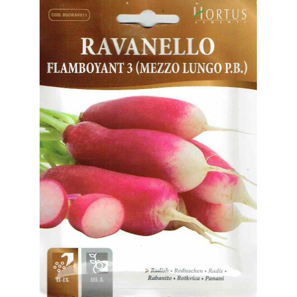 ラディッシュ（Flamboyant 3(mezzo lungo p.b.)）は約10cm細長く、先っぽの部分は白いかわいらしい形です。果肉はやわらかく、歯ごたえよく味も抜群です。種まきから45日前後で収穫できます。栽培が容易で簡単に収穫が楽...