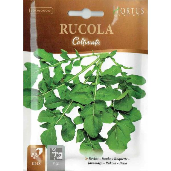 ルッコラ（ロケット）（Coltivata）はコンテナでも栽培が容易で、ぐんぐんと成長する丈夫な品種です。ルッコラ、ロケット、英語名はアルグラと様々な呼び名がついています。葉には大きな切れ込みが入り、日本でよく見かけるルッコラと葉の形が異なり...