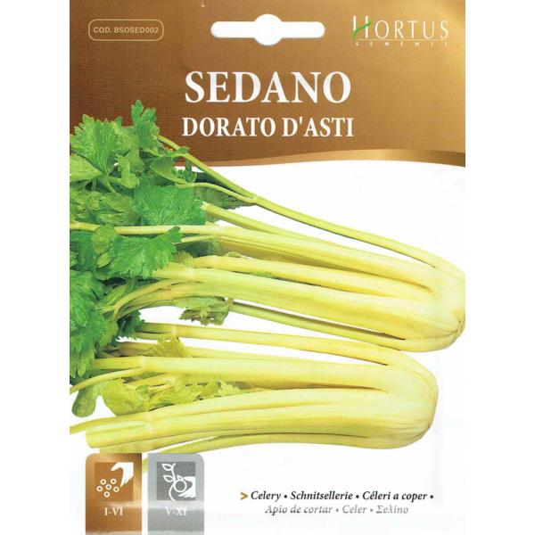 セルリー・アスティ（Dorato d'Asti）は金色の脚を持つセロリーと言われる通り、その茎はほっそりとし、金色のような薄黄緑の大変に美しいセルリーです。生食に向き、ピエモンテ地方料理バーニャカウダにディップして食べると最高です！