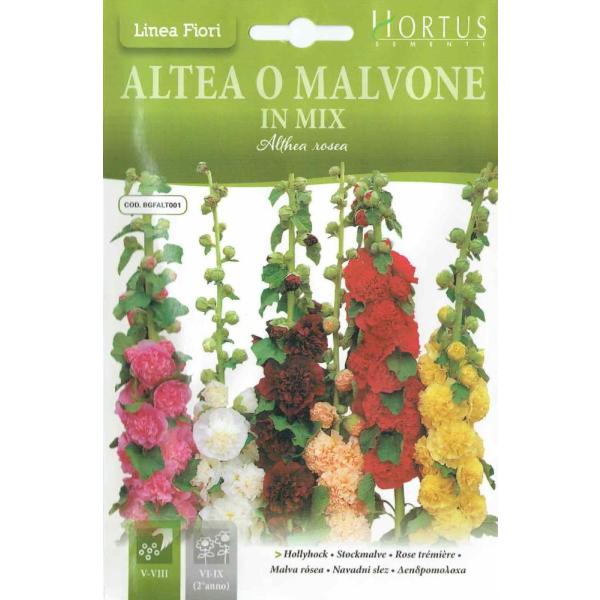 梅雨どき、鮮やかな色彩が目を楽しませてくれ、花の終わりが梅雨明けとも言われ、花壇などに群植すると見栄えのする初夏を飾る花の代表的な一つです花が終わったら切り戻しをし、植えっぱなしは避け、春に根を痛めないように株分けをします。