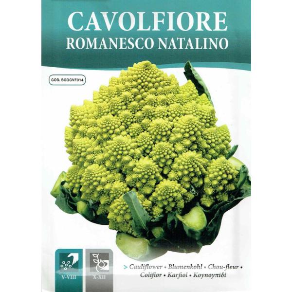 普通のカリフラワーと同様、ピクルスにしたり、ボイルしてサラダに利用します。バターのような滑らかな歯ざわりです。サンゴ礁のような形の花と明るい淡緑色が美しく、鑑賞するだけでも十分楽しめます。