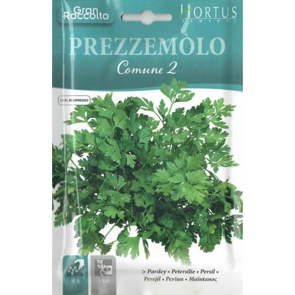 高温多湿を嫌います。明るい日陰の木漏れ日程度の風通しの良い場所で、この品種はワイルドな強い香りと苦味は比較的少ないタイプでビタミン・鉄分を多く含み健康的なハーブとしてイタリアンには必須、キッチンガーデンの定番です。