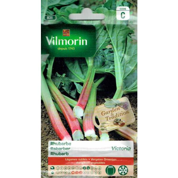 寒さにはとても強いですが、暑さには弱いため夏を涼しく乗り切ることがポイントです。夏場は半日陰になるような落葉樹の下などで栽培します。こちらの品種は比較的赤みが出やすい品種ですが、茎の中まで赤くなるような品種ではありません。ルバーブジャムやル...