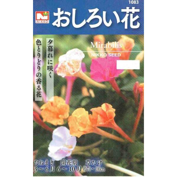 黒い豆の様な種子を割ると快い香りを有した白い粉質状で「おしろい」に似ている所から名付けられました。花は径3cm位で可愛く、紅・白・黄桃・絞り咲など色とりどりで非常に沢山咲きます。英名で「フォー・オクロック」と呼ばれる如く、タ方4時頃に開花し...
