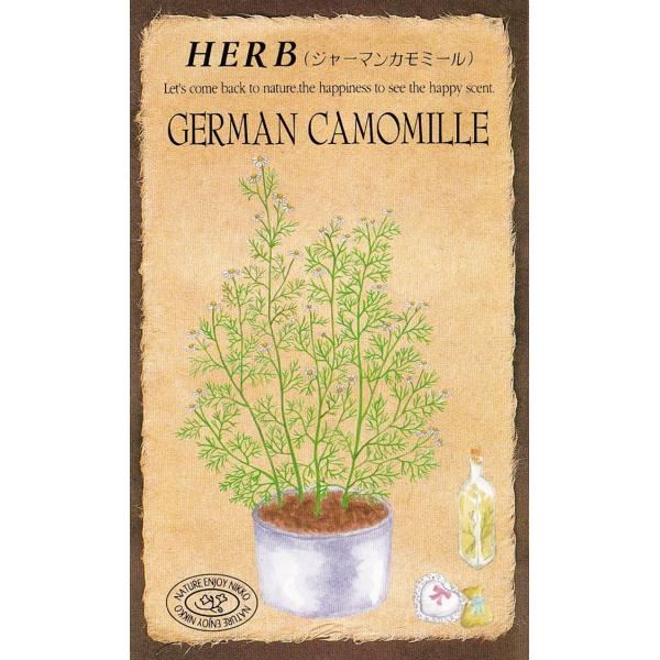 リンゴやパイナップルに似た甘い香りがあり、ハーブティーやお菓子の香りづけによく利用されています。又、”マザーハーブ”とも呼ばれ、美肌、血圧にも効果があるとされ、薬用ハーブとしても広く栽培されています。花もかわいく、花壇、鉢植えにして鑑賞する...