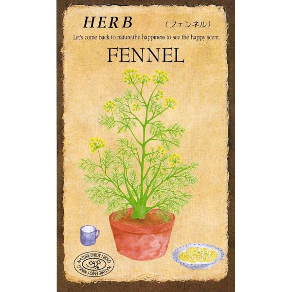 地中海地方の原産で、イタリア料理には欠かすことのできないハーブとされています。古代ギリシャでは”やせるハーブ”ともいわれていたそうです。現代では、特有の香りが生臭みを消す効果があるとされ、魚料理に相性がよく、”魚のハーブ”と呼ばれています。...