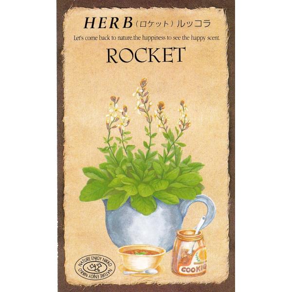 古代エジプト時代より作られているハーブで、あまり大きく育てず、若くやわらかい葉を利用します。美しい緑色の若葉は長楕円形で浅く切れ込み、ゴマの香りとピリッとした辛さが楽しめます。またビタミンCも豊富で、あまり熱を加えない料理に適します。