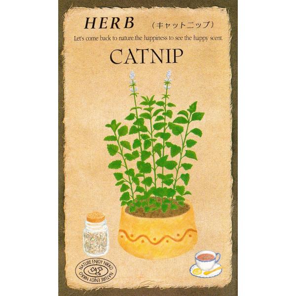 シソ科の多年草。愛猫家御用達のハーブですがハーブティーなど食用にもなります。