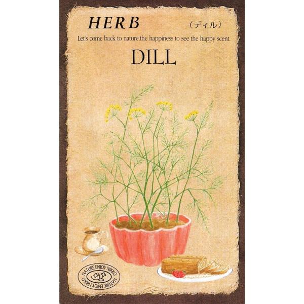 地中海沿岸および西アジアを原産地とし、黄色の小さな、かわいい花をたくさん咲かせます。葉は、刻んで、肉や魚料理にハーブとして混ぜたり、また種子はピクルスにも多く使われています。消化促進、整腸作用もあるといわれております。