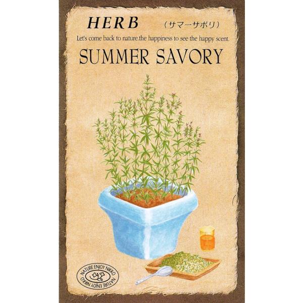 南ヨーロッパ原産で、茎は紫がかっています。葉には少し辛味がありますが、豆料理によく使われるので、ドイツでは「豆のハーブ」とも言われています。肉料理、サラダにもよく合います。