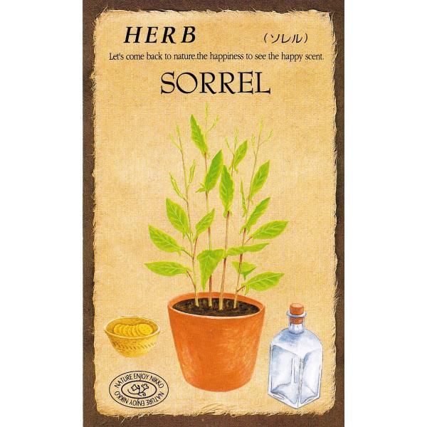 水気が多く、ツンとした酸性の香りがあり、いろいろな料理にマッチするハーブです。和名でスイバ（酢い葉）と呼ばれています。若葉はソースやサラダに、野菜のような感じで利用できます。