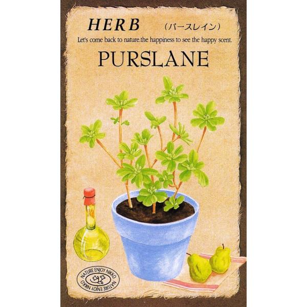 世界中の温帯、熱帯地方に広く分布し、１６世紀のヨーロッパでは、特に人気のあったハーブです。ビタミンＣを含み、サラダ料理にもよく利用されます。茎は地をはって横にひろがり、葉はツヤのある肉厚で、観賞用としても楽しめます。