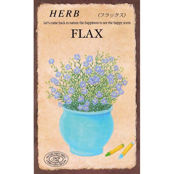 古代エジプト時代より栽培されるハーブで、茎は繊維、種子は薬用・工業用に利用されていました。夏になると、ブルーあるいは白色の清楚な可愛い小花を咲かせ、鉢植えとしても美しい。種子から採種される油は、絵の具、ペンキなどの原料にもなります。