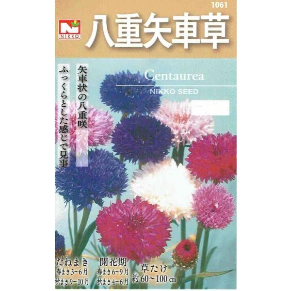 寒さに極めて強い草花で、作り易く如何なる土地でもよく成長します。花は矢車状の八重大輪でふっくらした感じを受け、集団的に花壇植えをすれば実に見事です。又非常に花保ちよく切り花用としても申し分ありません。花色は赤・桃・白・紫など多彩で各色とも鮮...