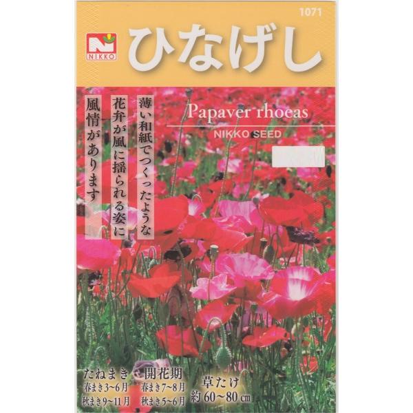 紙細工のような薄い花弁が特徴的で、初夏の花壇で舞う様に咲く姿は美しく可憐です。生育旺盛で育苗後はほとんど手間を掛けることなく栽培することができます。