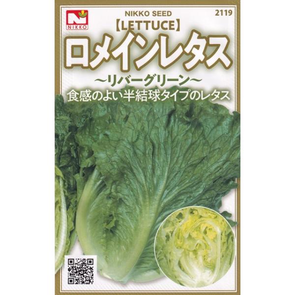 濃緑色の葉で光沢があり、形状は半結球の極長球。抽だいは比較的遅く、耐病性に優れ、変形球が少なく作りやすい。