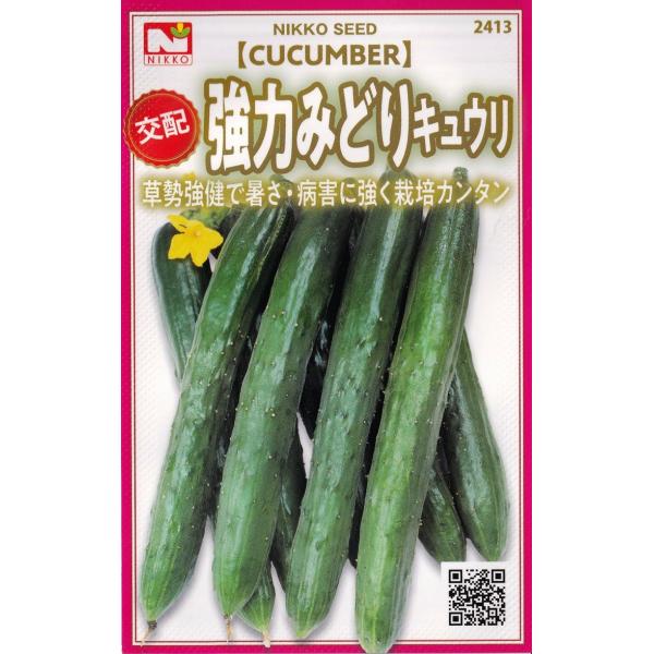 草勢強健で耐病性、耐暑性非常に強く、栽培至って容易な大豊産種です。春蒔き、夏蒔きもよく生育し、霜の降る頃まで連続収穫できます。果は２２〜２３ｃｍ位の濃緑色で肉質優秀歯切れよくアッサリとした味覚は胡瓜中最高です。