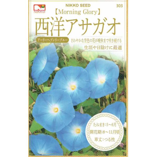 さわやかな空色の花を1つの花茎に3~5花をつけます。西洋系の朝顔で、葉は丸く開花持続性は一般的朝顔に比べて長く霜の降りるころまで咲き続けます。とても樹勢が強く垣根や日除けにします。