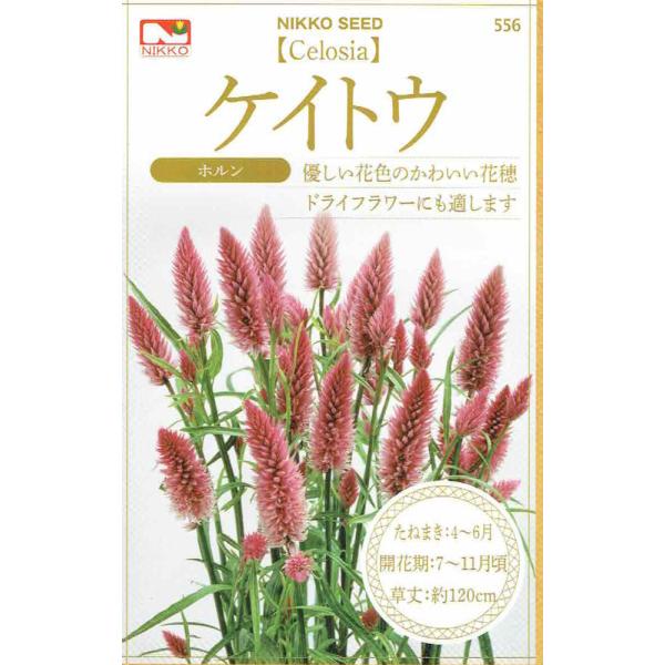 優しいピンク色のかわいらしい花穂で、花穂は8~10cmになります。株は直立し、茎はかたく空に向かって多くの枝がスプレー状に伸び1m以上になります。寄せ植えやアレンジ用切り花、ドライフラワーとしても人気の品種。