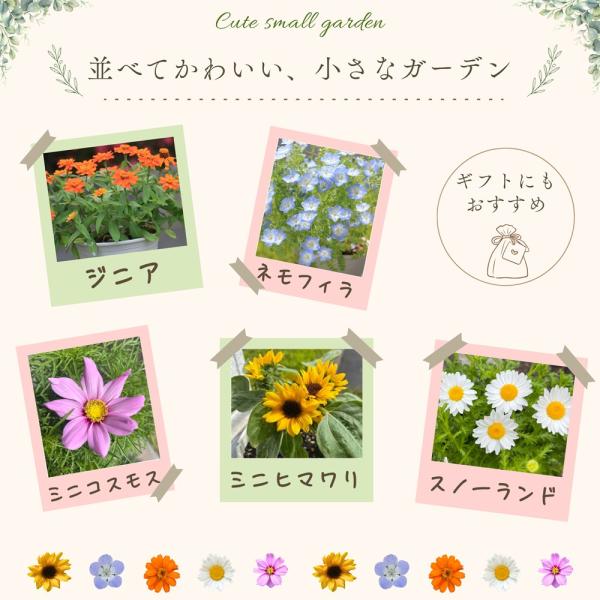 お部屋やベランダで気軽に楽しめる、花のたねまきセットです。種・水でふくらむ土ポット・説明書がひとつのパッケージに入っているので、届いたその日からすぐに種まきを始められます。コンパクトなサイズの5品種からお好きなお花をお選びください。Livi...