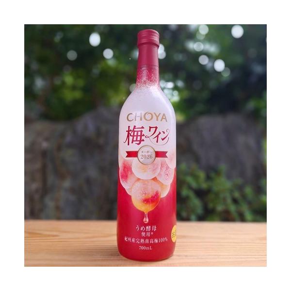 「CHOYA 梅ワインヌーボー2026」は今年6月に収穫した完熟の紀州産南高梅を、「氷熟製法」によって鮮度を保ったままフレッシュな梅果汁にし、発酵させた梅ワインの新酒です。昨年に引き続き、今年も発酵の際に梅酵母を一部使用することで、通常発酵...