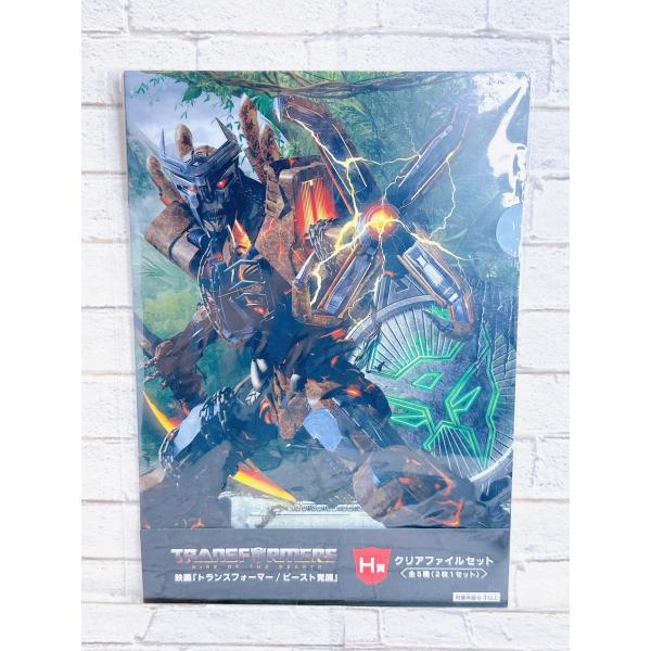 2枚1セットサイズ：A4