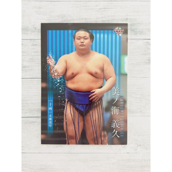 新春を飾る定番アイテム、「BBM2021大相撲カード」が1月中旬に発売されます。今年も幕内・十両全力士をカード化。サブセットでは「期待の若手」「戦う男たち」の定番テーマに加え、納谷改め王鵬、白石改め東白龍、2人の新十両も登場します。