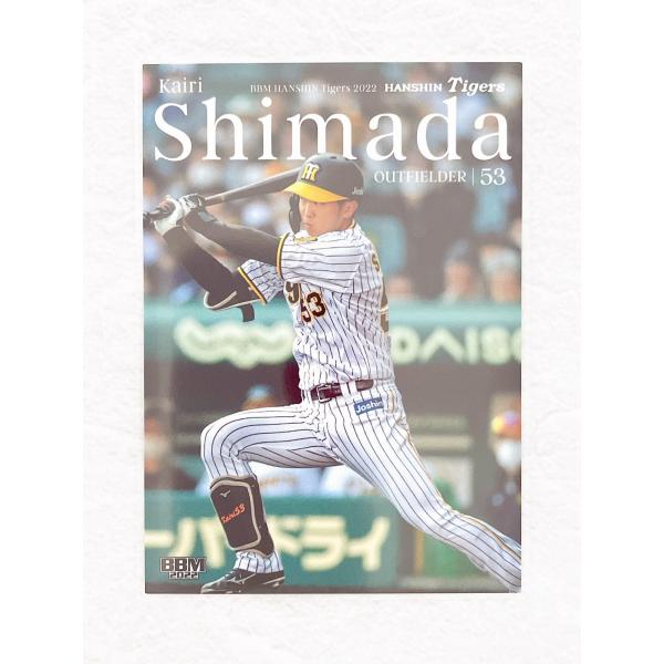 阪神タイガースの2022年版最新カードが道場レアインサート「TREASURE」は24種、「Antique」も24種とボリューム満点