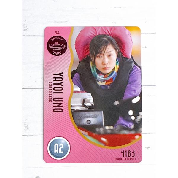 全95選手の大ボリューム！ボートレーサーのトレーディングカードが登場！2025年ボートレースオールスター、レディースオールスターのメンバー(2025年3月8日発表時点)を収録しており、スペシャルカードはキラキラ仕様。