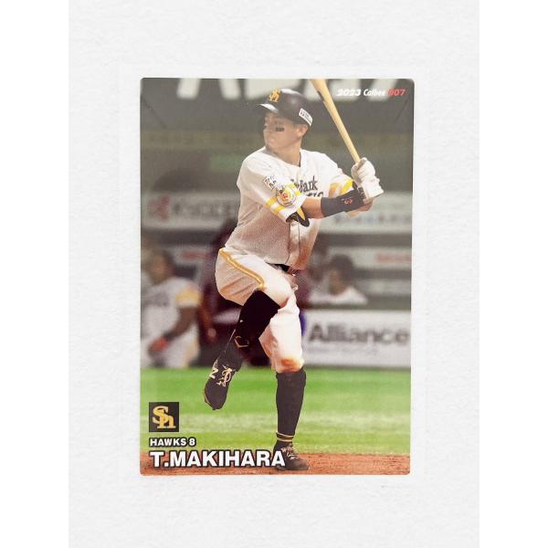 カルビー Calbee 2023 プロ野球チップス 第1弾