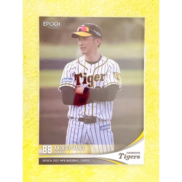 今年度のルーキーを含む監督・選手・OB総勢444名を収録