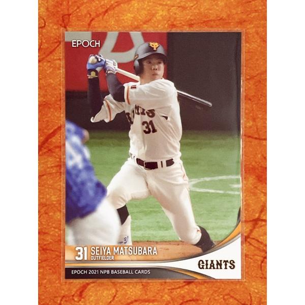 今年度のルーキーを含む監督・選手・OB総勢444名を収録