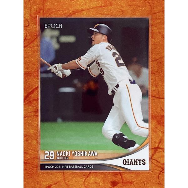 今年度のルーキーを含む監督・選手・OB総勢444名を収録