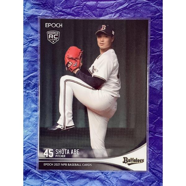 今年度のルーキーを含む監督・選手・OB総勢444名を収録