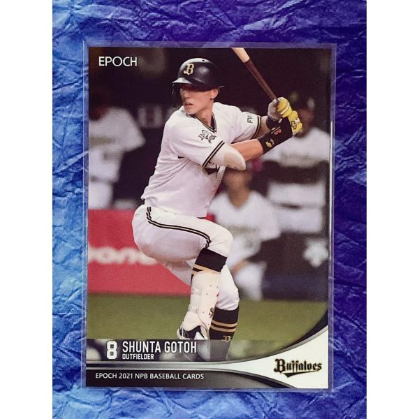 今年度のルーキーを含む監督・選手・OB総勢444名を収録