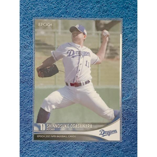 今年度のルーキーを含む監督・選手・OB総勢444名を収録