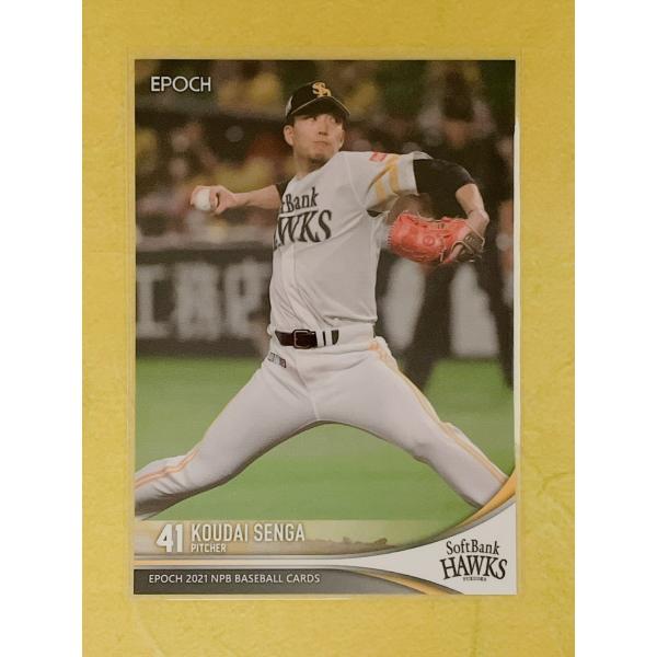今年度のルーキーを含む監督・選手・OB総勢444名を収録