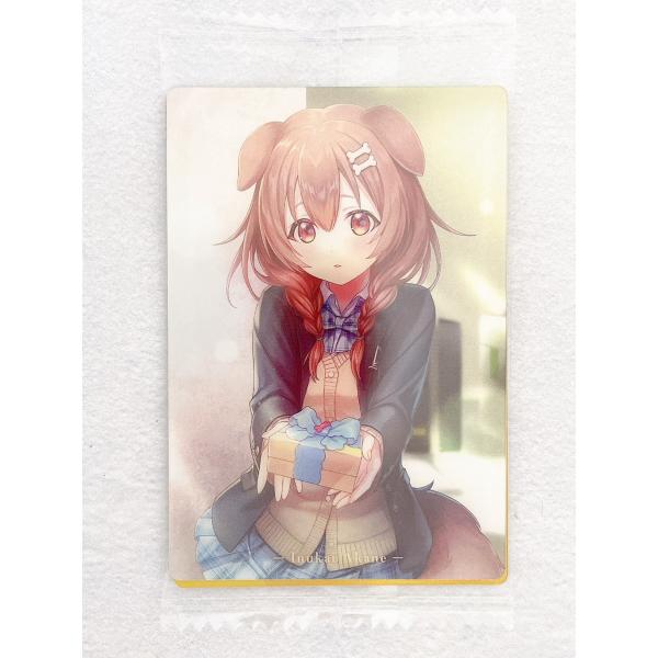 バレンタインに合わせ、全種描きおこしイラストのカード付きチョコウエハースが登場！　付属のカードは「hololive ERROR」のキャラクターと「ホロライブ」のタレントのオリジナル描きおこしイラストを使用したメタリックプラカードが2枚セット...
