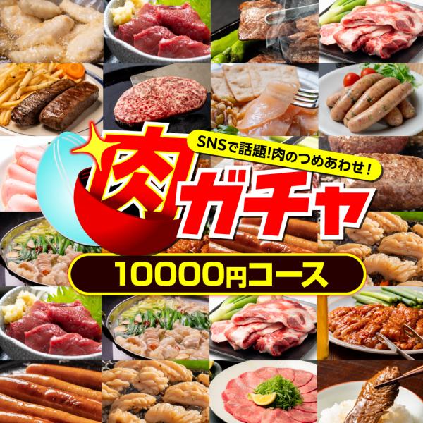 精肉や肉加工品など何が届くかお楽しみの肉ガチャ福袋！！2種類以上、合計500g以上、ご購入金額以上のお肉が必ず入る１００００円コースです10000円の他にも5000円コースがございます！！-----食品のお取り寄せでわくわくをお届けする！お...