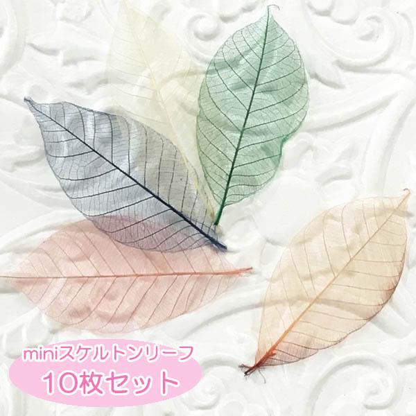 ■サイズ・内容量■・約7〜9cm、10枚※アソート(色お任せ)のみ12枚■配送■・ネコポス配送■ご注意■・画面上と実物では多少色具合が異なって見える場合もございます。・非常に繊細な素材ですので、一部に欠け、破れ、穴、斑点等がある場合がござい...