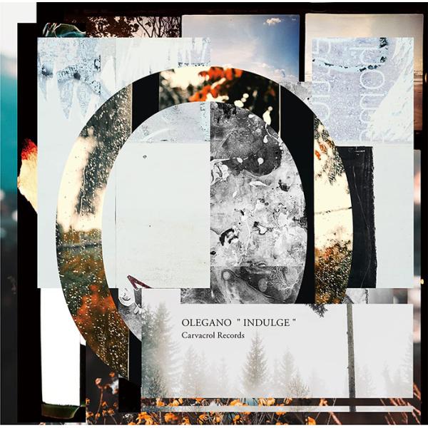 前作「Majestic Moments」から約２年半、待望の３枚目となるオリジナルアルバム「Indulge」。前作の瑞々しさ溢れるアルバムとはうってかわって、枯れた音色を使いながらもあたたかみを感じる趣ある楽曲を収録。ゆったりと思いふける時...