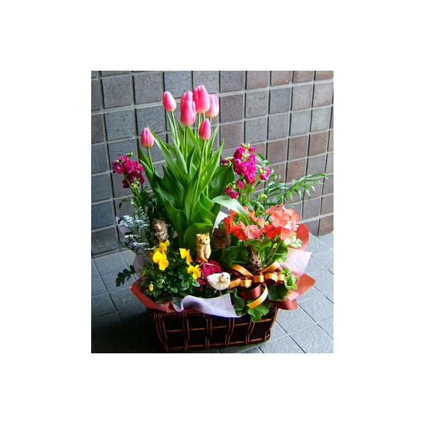 最短即日発送 愛妻の日　プレゼント お祝い人気ランキング上位獲得 フラワーギフト旬な季節のお花を使って、当店デザイナーが一つ一つお仕立て致します。愛妻の日に最適のフラワーギフトです。いつもと違った 愛妻の日 ギフトにいかがでしょうか？最短即...