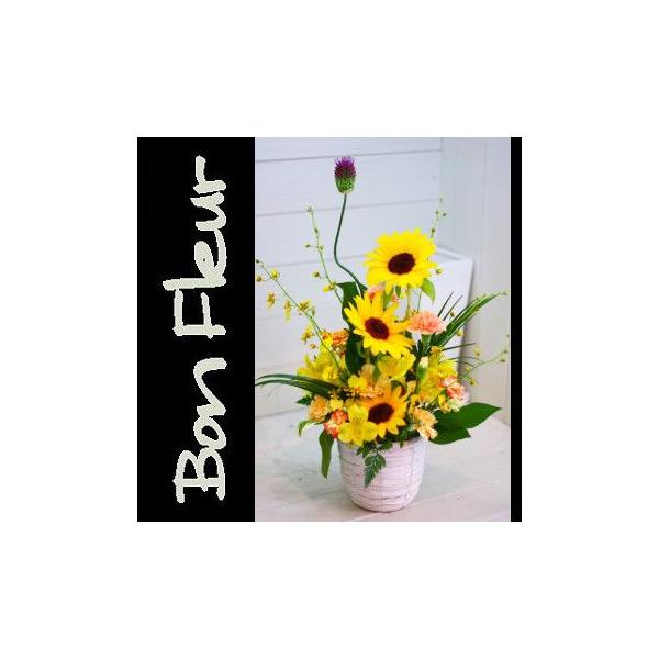 人気ランキング　上位獲得　最短即日発送対応