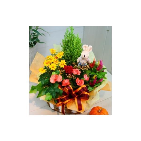 成人式　お祝いにも人気、お祝い、成人式などに人気のプランツアレンジメント。鉢植えなのでとっても長持ち！！来年の咲いて、毎年楽しめます。成人式　お祝いにも人気、お祝いの花ギフトにいかがでしょうか？季節のお花と観葉植物で作った花鉢の詰め合わせバ...