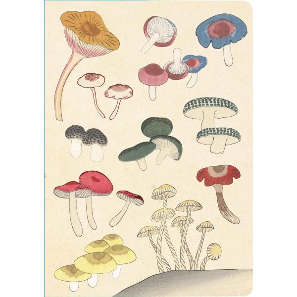 【予約注文商品】注文後約１ヵ月程度で発送となります。出版社：Tuttle Pubページ数：144ページサイズ：149 x 208 mm表紙：柔らかい紙（ペーパーバック）、ページがめくりやすく、読みやすいきのこ模様の表紙がユニークでカワイイ、...