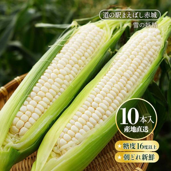 原材料:とうもろこし(群馬県産)産地:日本内容量:10本温度帯:冷蔵アレルギー表示:なしメーカー名:株式会社ロードステーション前橋上武  群馬県前橋市古市町118番地◆商品説明◆※商品のお届けは【7月中旬頃〜順次発送】となります。※青果の為...