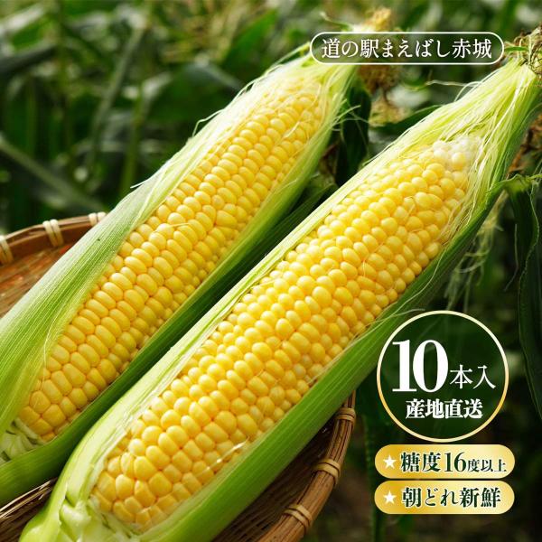 原材料:とうもろこし(群馬県産)産地:日本内容量:10本温度帯:冷蔵アレルギー表示:なしメーカー名:株式会社ロードステーション前橋上武  群馬県前橋市古市町118番地◆商品説明◆※商品のお届けは【7月中旬頃〜順次発送】となります。※青果の為...
